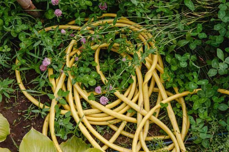 Irrigation Tech: Ditch the Hose, Protect Your Lawn's Future